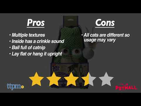 PETMALL | HARTZ - Cattraction with Silver Vine & Catnip Gator Cat Scratcher Toys