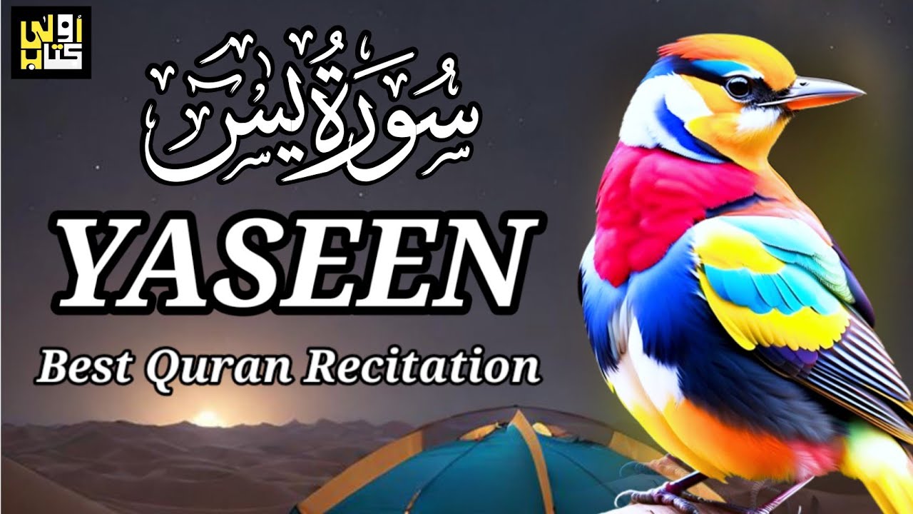 Surah Yasin YASEEN Most Powerful Quran Recitation Best Voice Quran ...