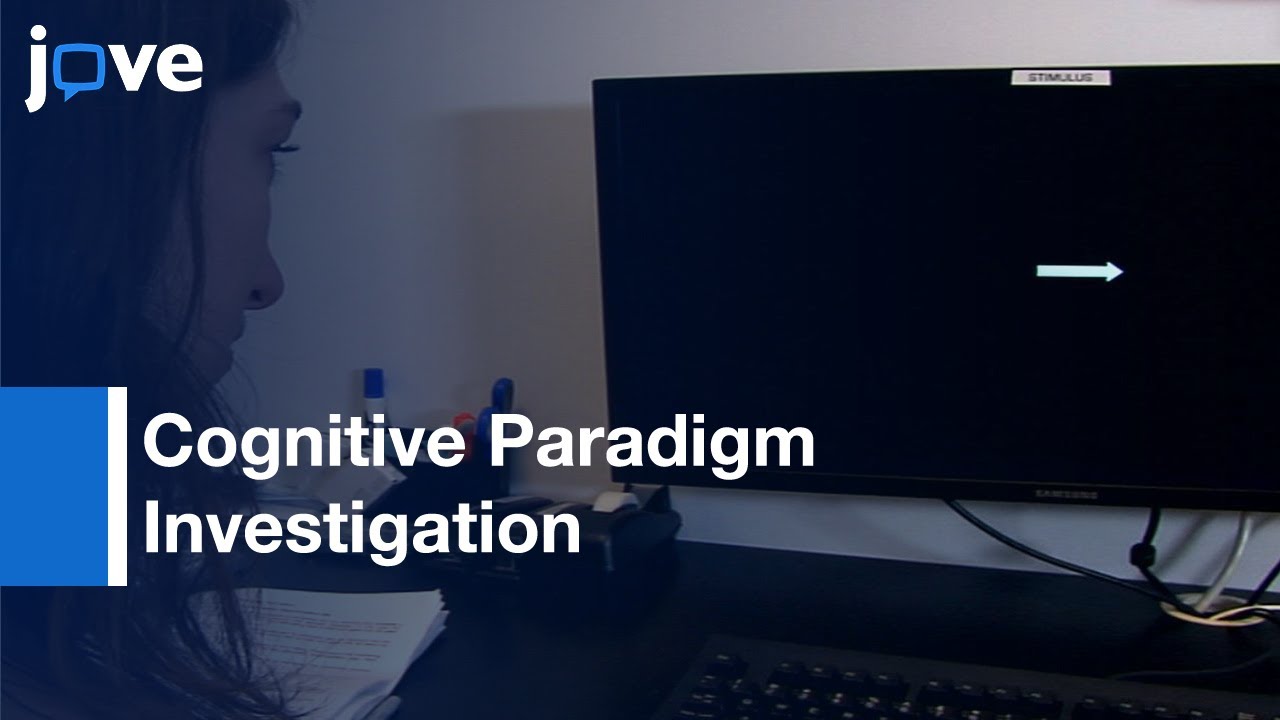 Interference In Working Memory By Distractions & Interruptions