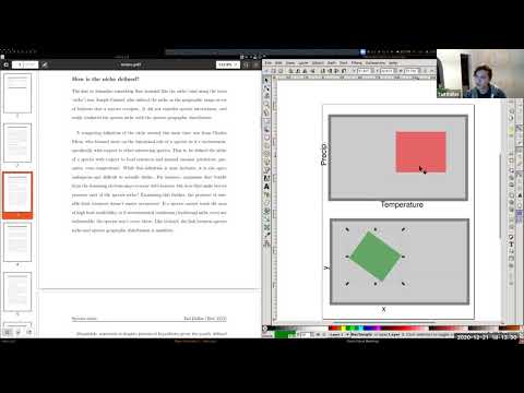 The niche (part 1)