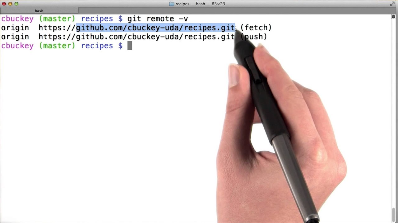 Fork the Recipes Repository Solution - How to Use Git and GitHub