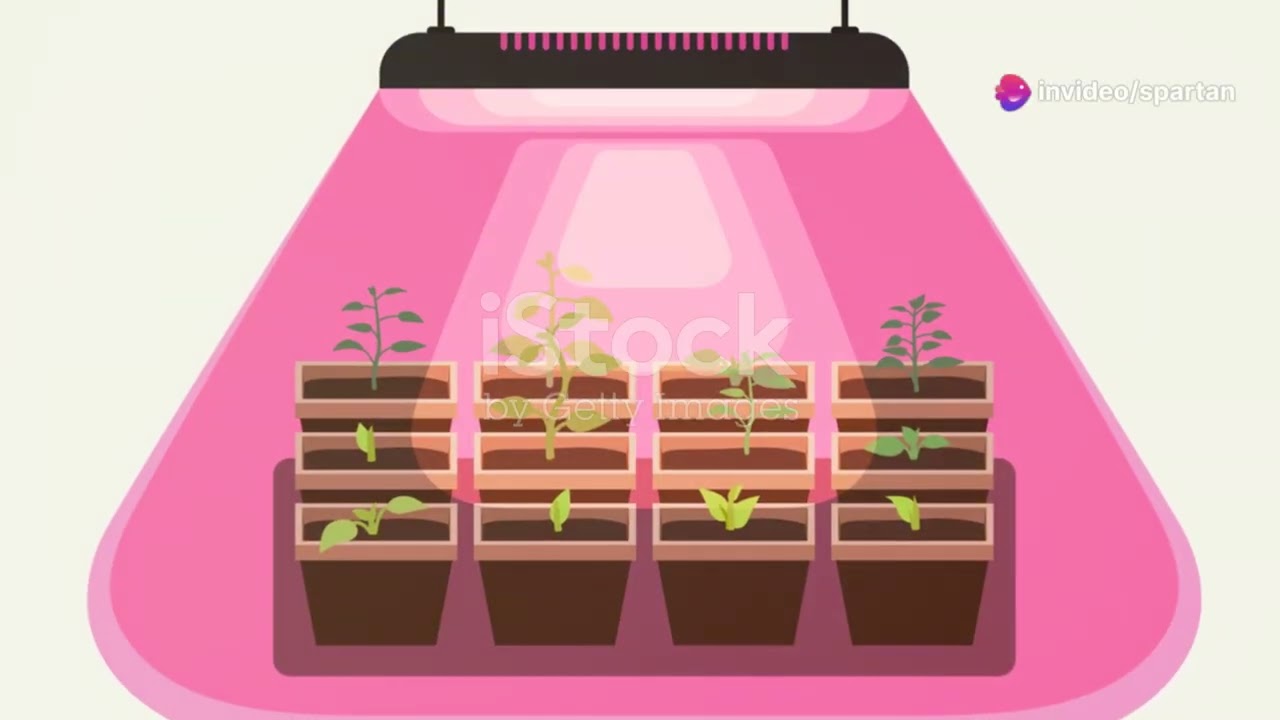 Introduction to Spectrum and Plant growth