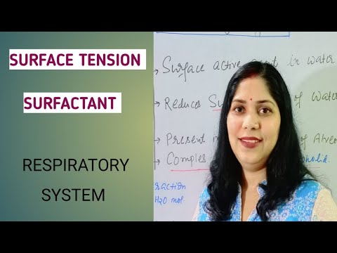 Surface tension and surfactant | respiratory system | surfactant in hindi | #biorstutorial