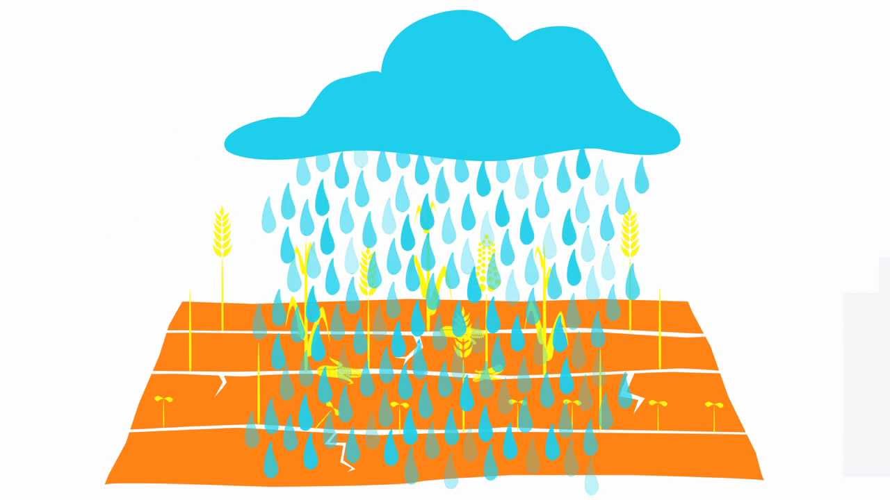 Food & You part 2: The broken food system