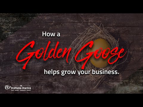How a Golden Goose helps grow your business