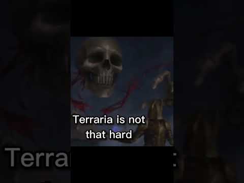 empress of light is just different #terraria #empress #light #hardmode