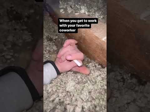 When you get to work with your favourite coworker 💪🏼 #funny #memes #viral #shorts