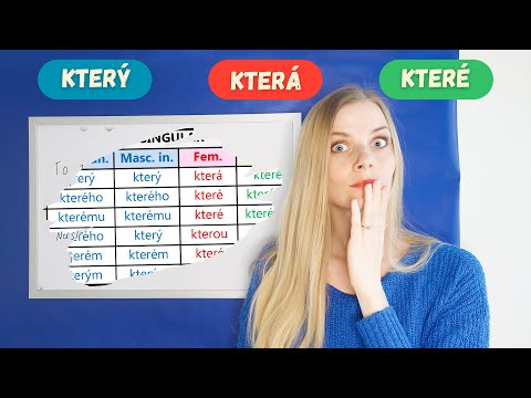 🔎 Mystery Behind the Czech Relative Pronoun "KTERÝ"