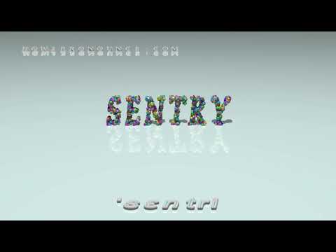 sentry - pronunciation + Examples in sentences and phrases