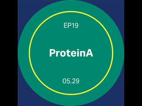 Discovery Matters | Ep19. The discovery of Protein A