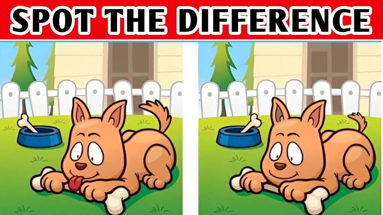 Can you Spot 5 Difference | Spot 5 Difference Between two Images | Riddle Hunt