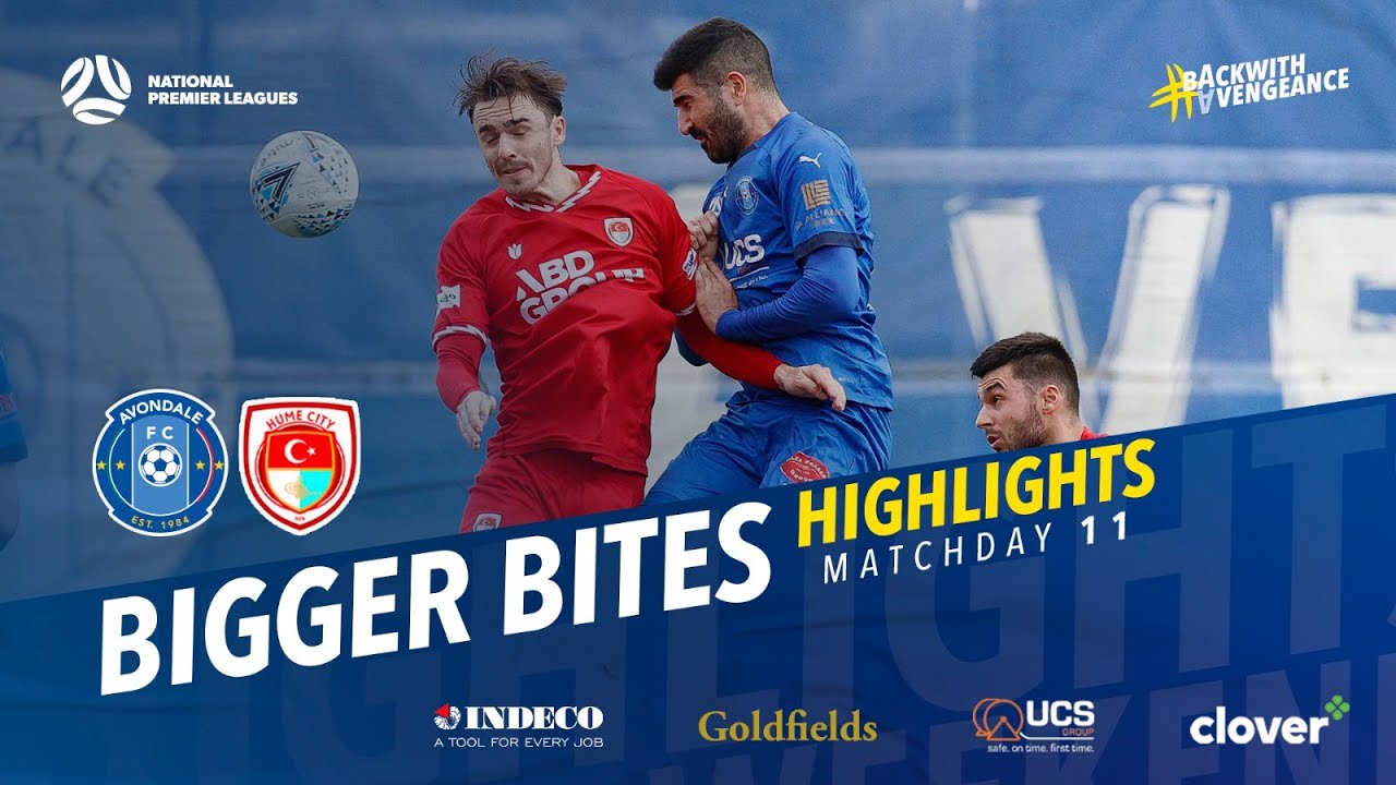Home – Avondale FC