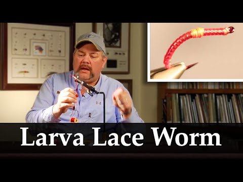 Willy Self: Larva Lace Worm