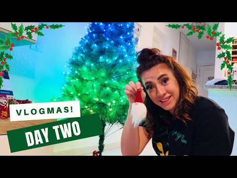 Vlogmas Day 2! Christmas Tree, Twinkly Lights & Disney Decorations! 🎄