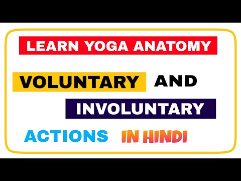 What is Voluntary and involuntary | Yoga anatomy in hindi