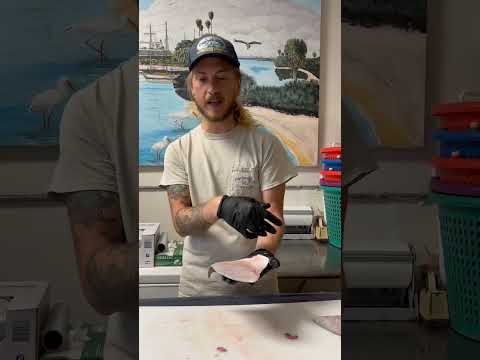 Grill vs. Pan seared Triggerfish #triggerfish #grilledfish #freediving