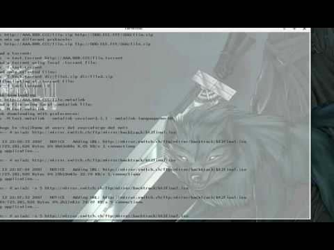 How To aria2c