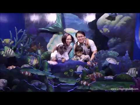Behind the Scenes: Alive Museum 3