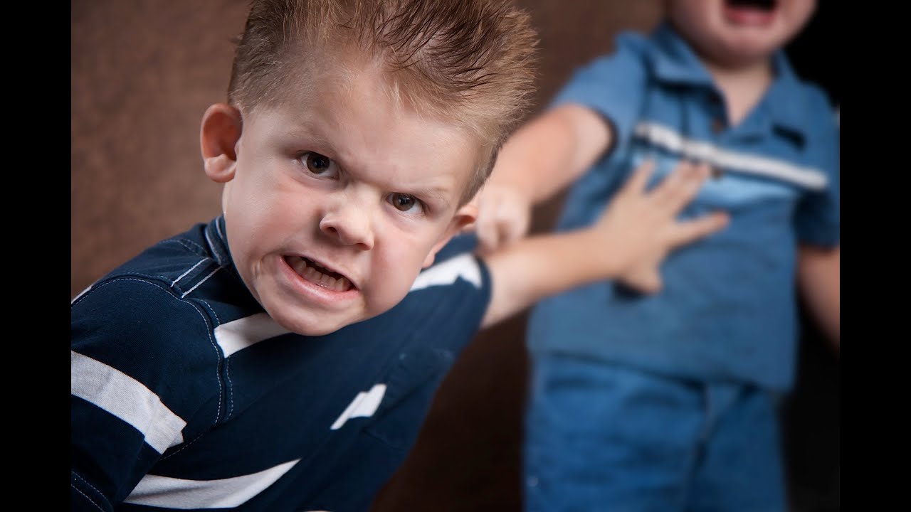 What Is Aggressive Behavior? | Child Psychology