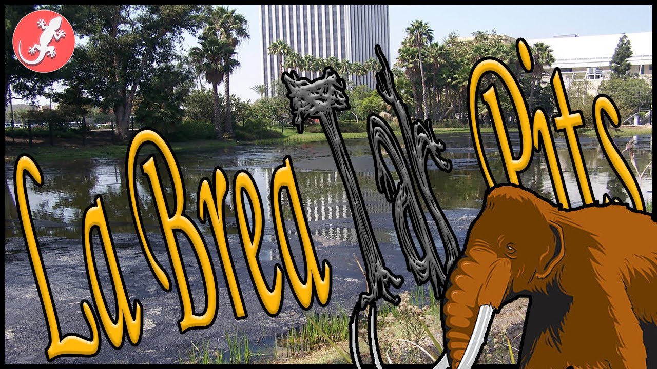 La Brea Tar Pits : California's Natural Time Capsule