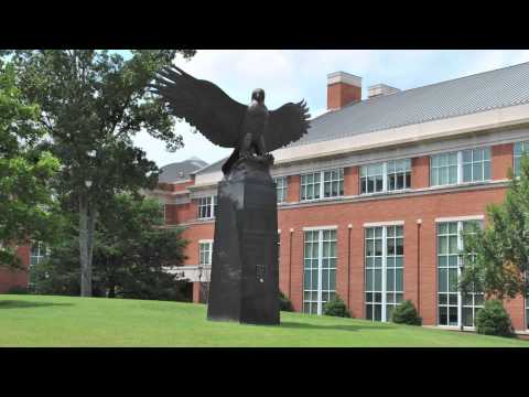 Campus Statues at UNC Charlotte