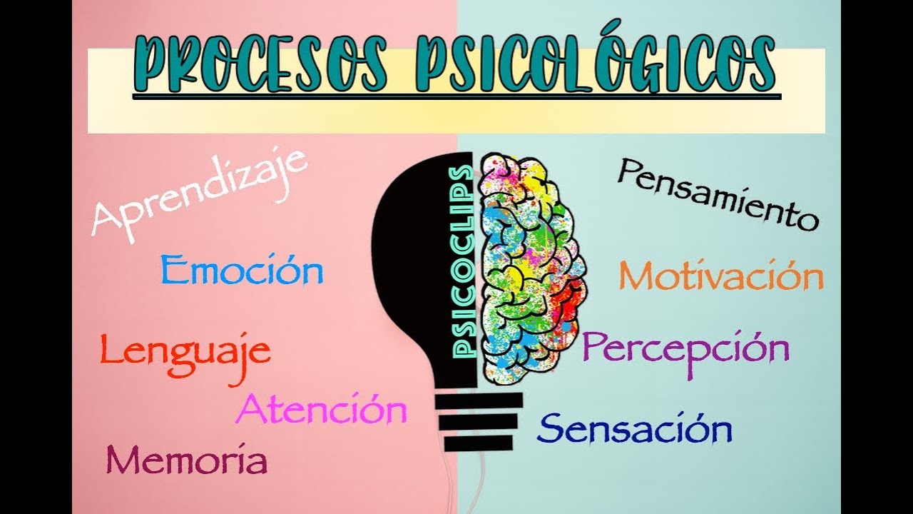 Procesos Psicológicos | ¿Qué es? ¿Cómo funcionan? Ejemplo...(Resumen-Libros)