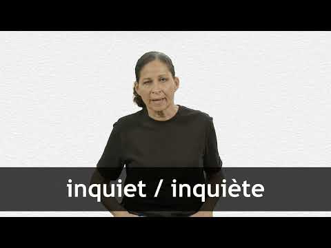 English Translation of “INQUIET” | Collins French-English Dictionary