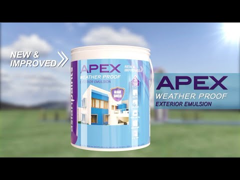 Apex Emulsion Paints - Latest Price, Dealers & Retailers in India