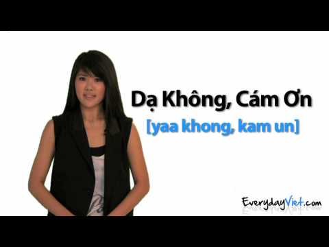 Learn Vietnamese: Lesson 2: Yes, No, Maybe, and No, Thank You in Vietnamese