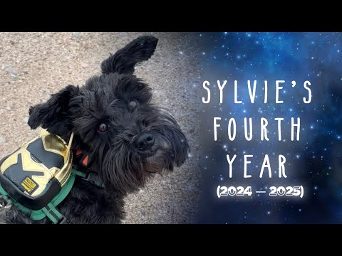 Sylvie's Fourth Year (June 2024 — June 2025)