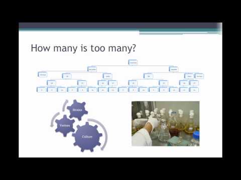 The Protein Challenge