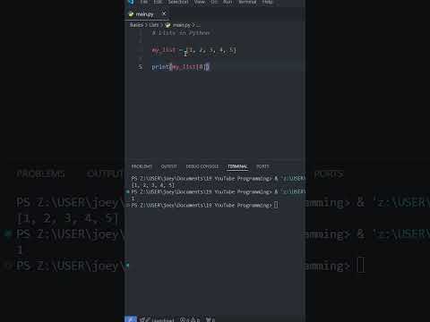 Python Basics: LISTS in Under a Minute! ????