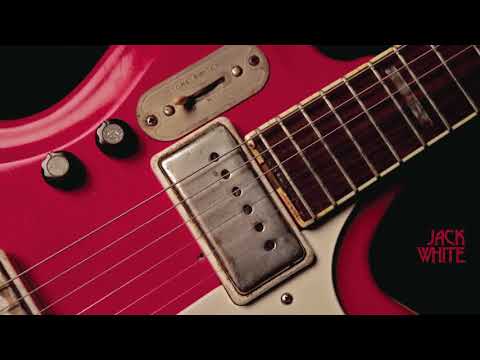 Lisa S. Johnson 108 Rock Star Guitars 2013 | Reverb