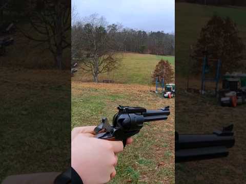 Ruger Blackhawk .44 Magnum