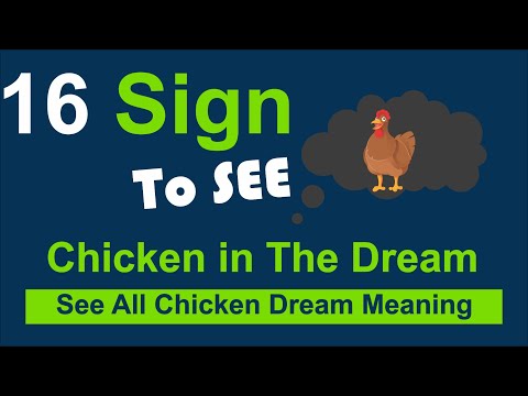 16 Chicken Dream Sign and Meaning: What It Means for You