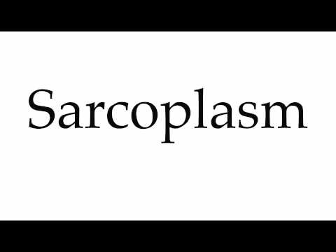 How to Pronounce Sarcoplasm