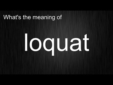 Using "loquat"? Here's Exactly Meaning and How It's Pronounced