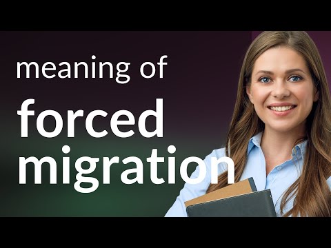 Understanding Forced Migration: A Key Topic in Today's World