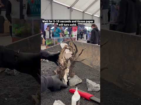 How to glue driftwood to a rock and create beautiful aquascape design