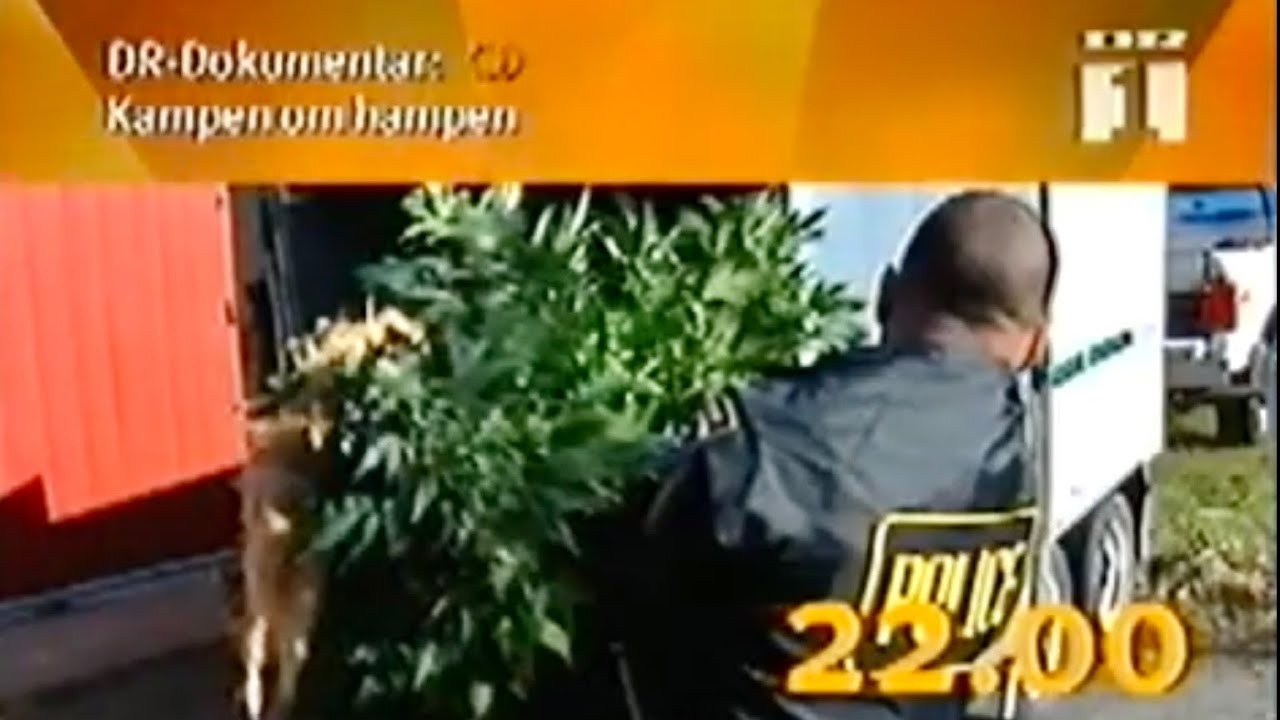 DokumentTimen: Kampen om Hampen - Dansk dokumentar