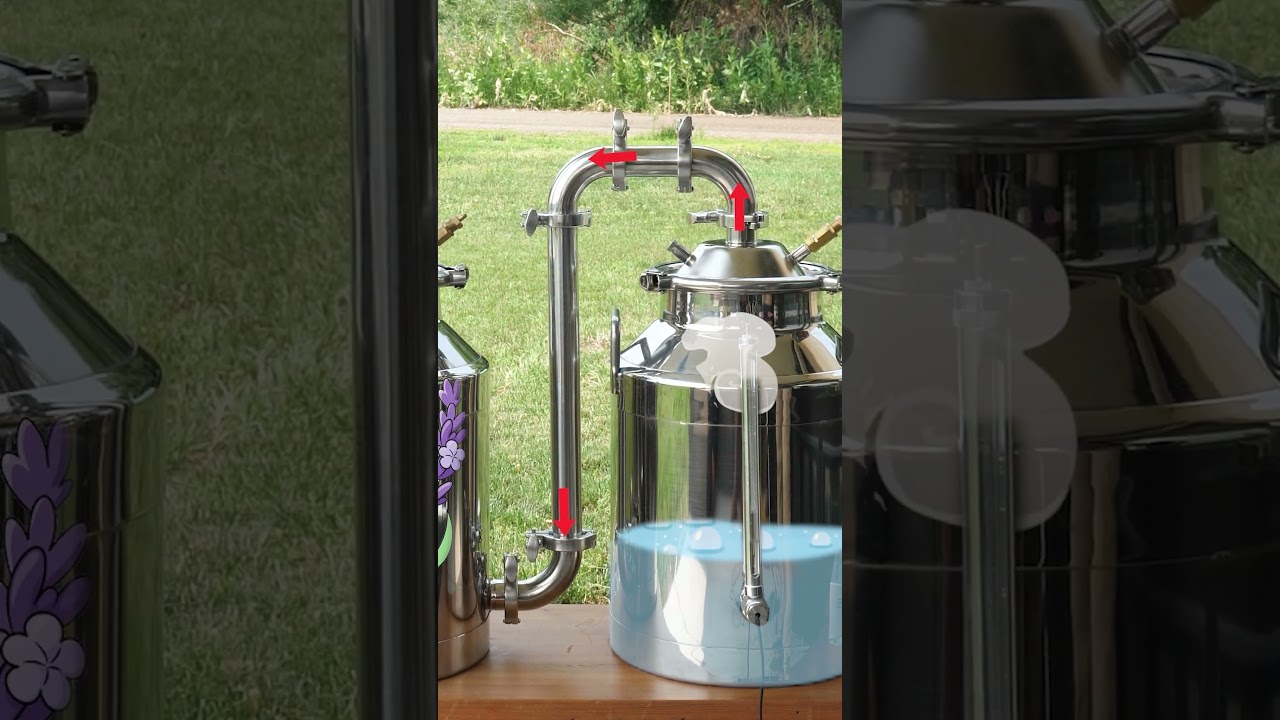 How to Make Essential Oils #science #sustainability #essentialoils #diy #essentialoilrecipe