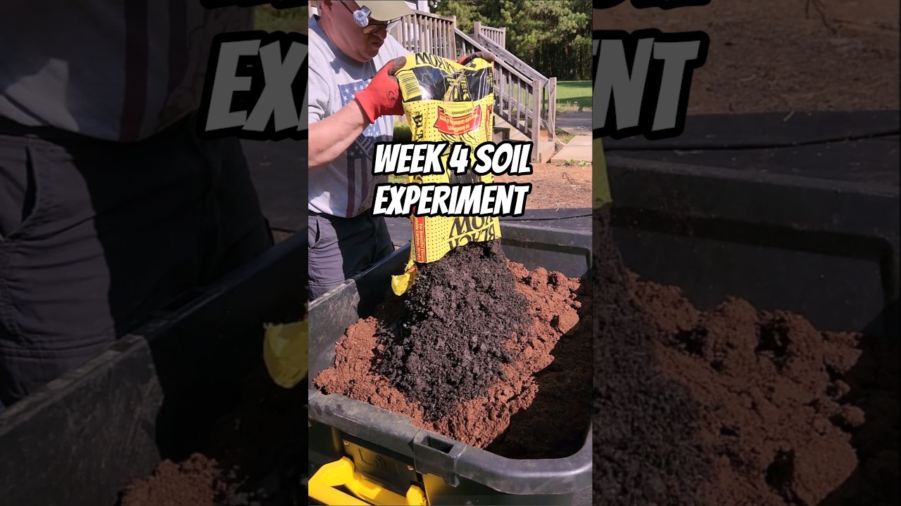 Make Your Own Soil (Week 4 Experiment Update)
