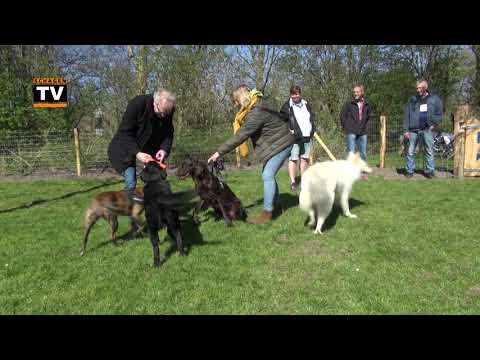 Losloopgebied voor honden geopend in Waldervaart