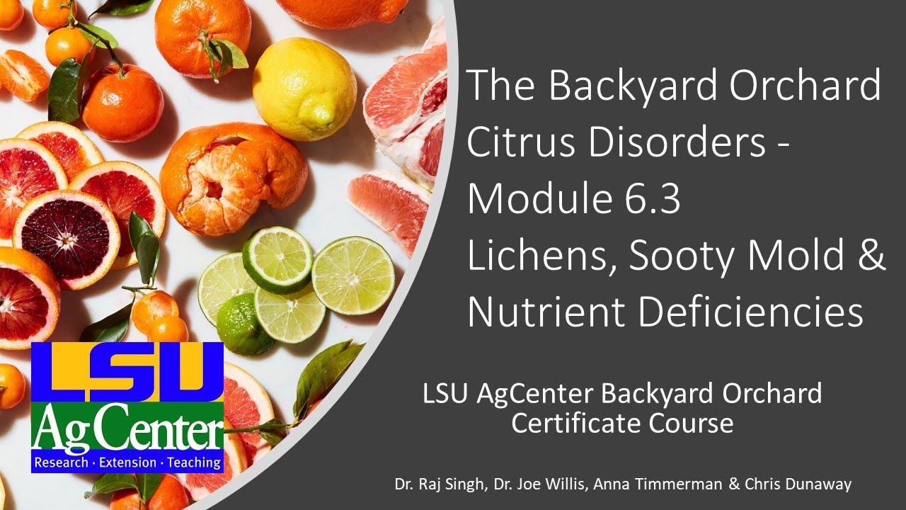 Citrus - Module 6.3 - Nutrient Deficiencies