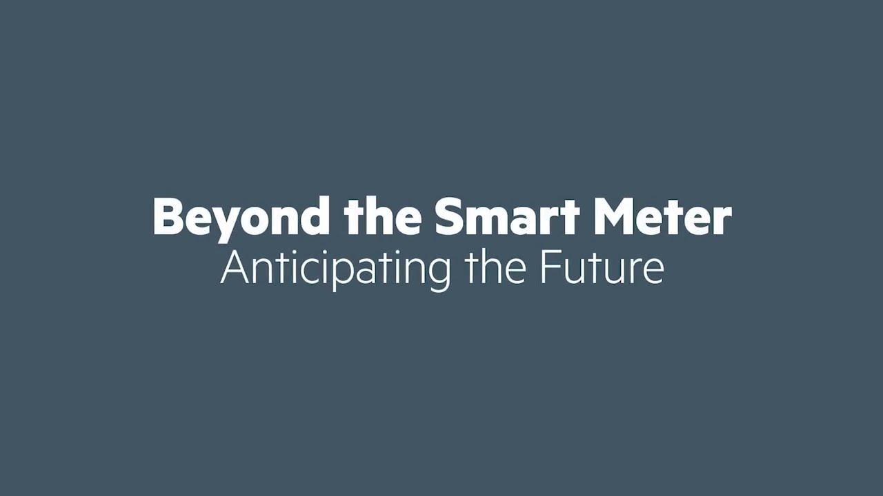 The future of the power grid: Beyond the smartmeter
