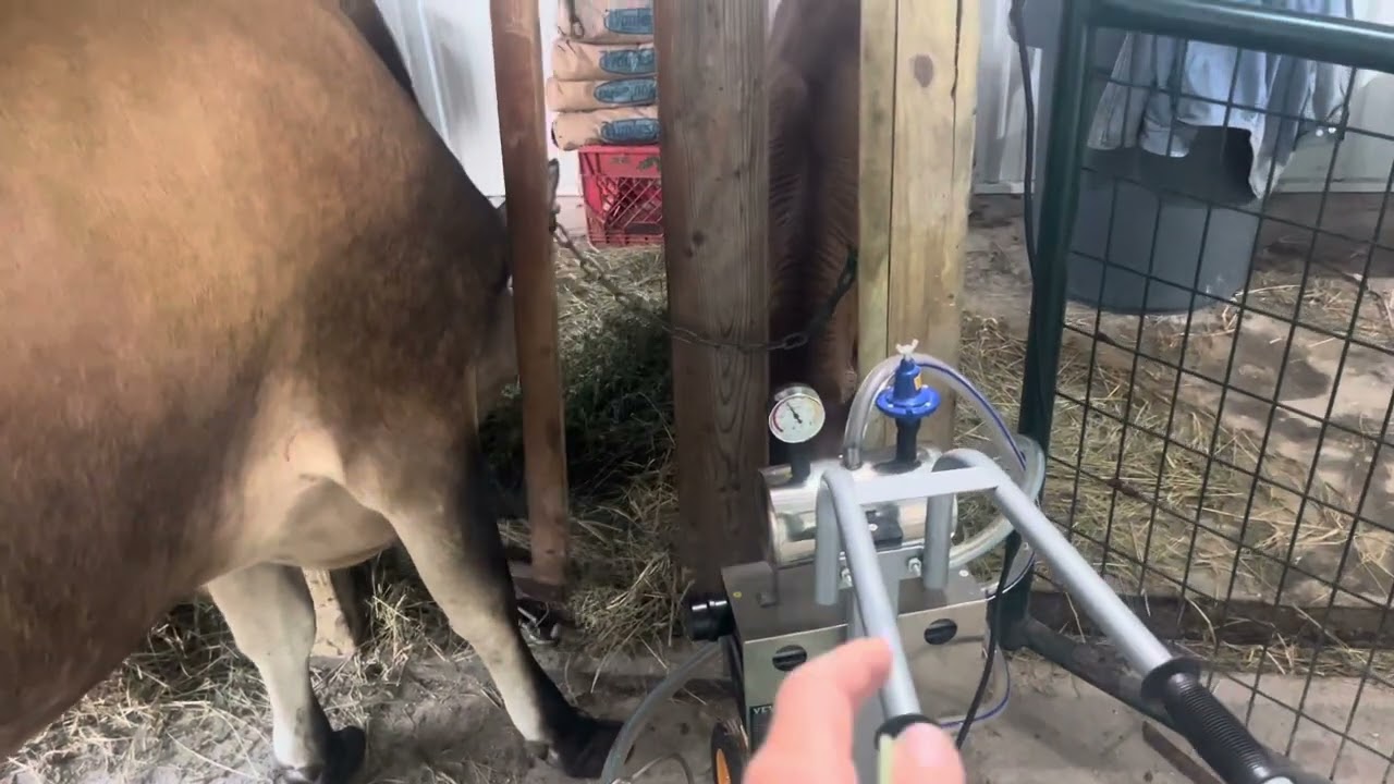 Vevor (Amazon) Cow Milker w/ Customization