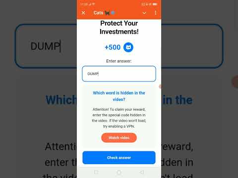 Protect Your Investment.Cats video code.#cats #cat #airdrop #crypto