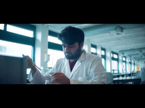 Master in Biology - Leiden University