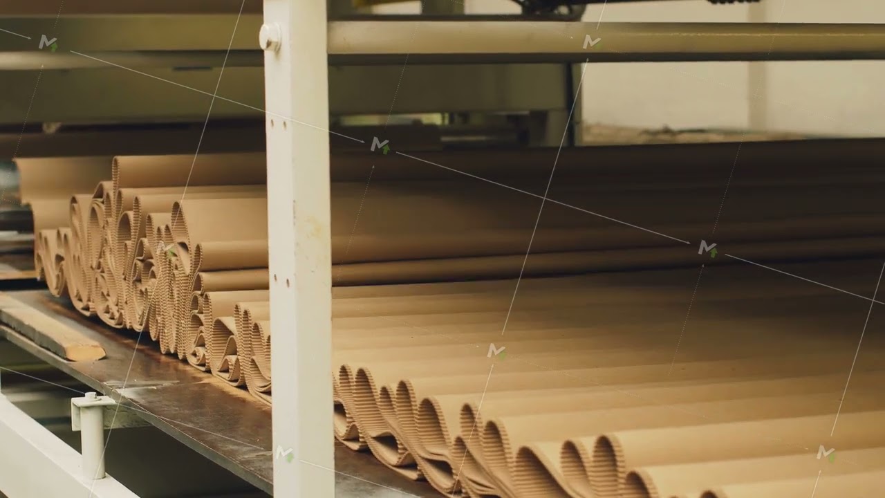 Production of cardboard packaging. Cardboard moves out of the machine.