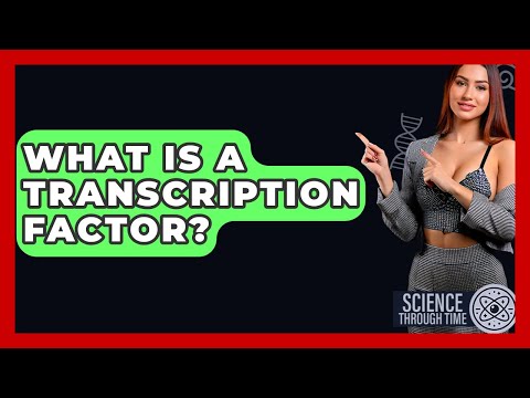 What Is A Transcription Factor? - Science Through Time